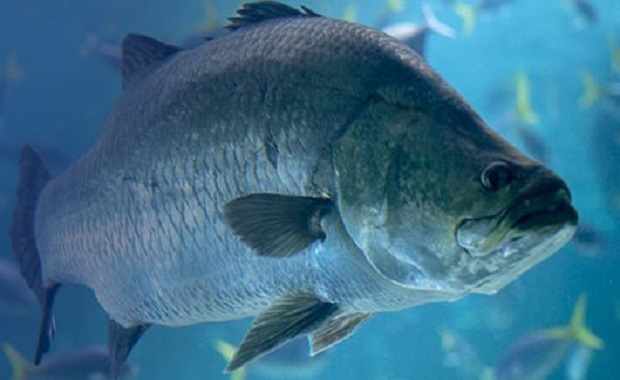 Aqua Life School Incursions | Reptile Encounters