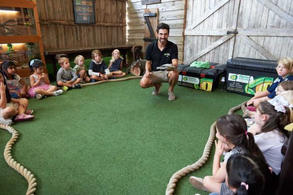 Party Supplies | Reptile Encounters | Wildlife & Reptile Party