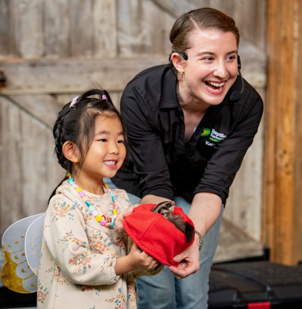 Zoo Experiences – Private Zoo Tours in Melbourne VIC