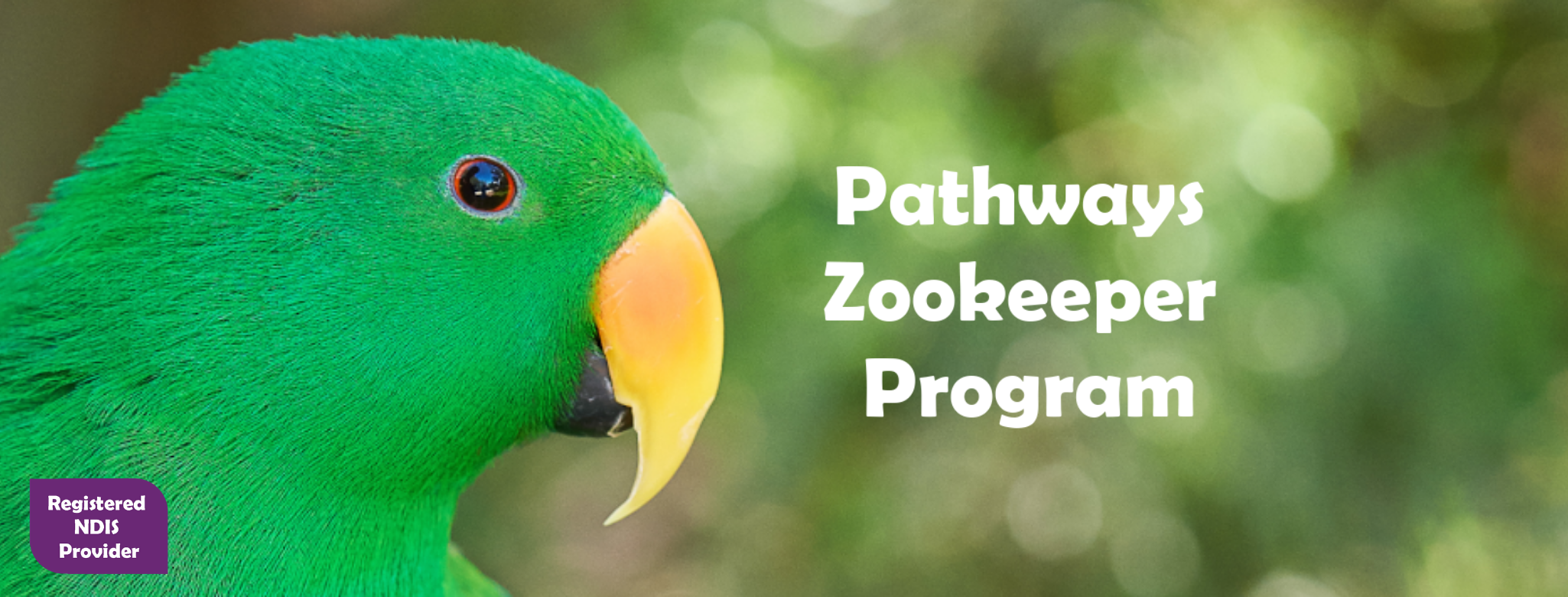 Pathways Program – Improve your wellbeing with Animal Therapy