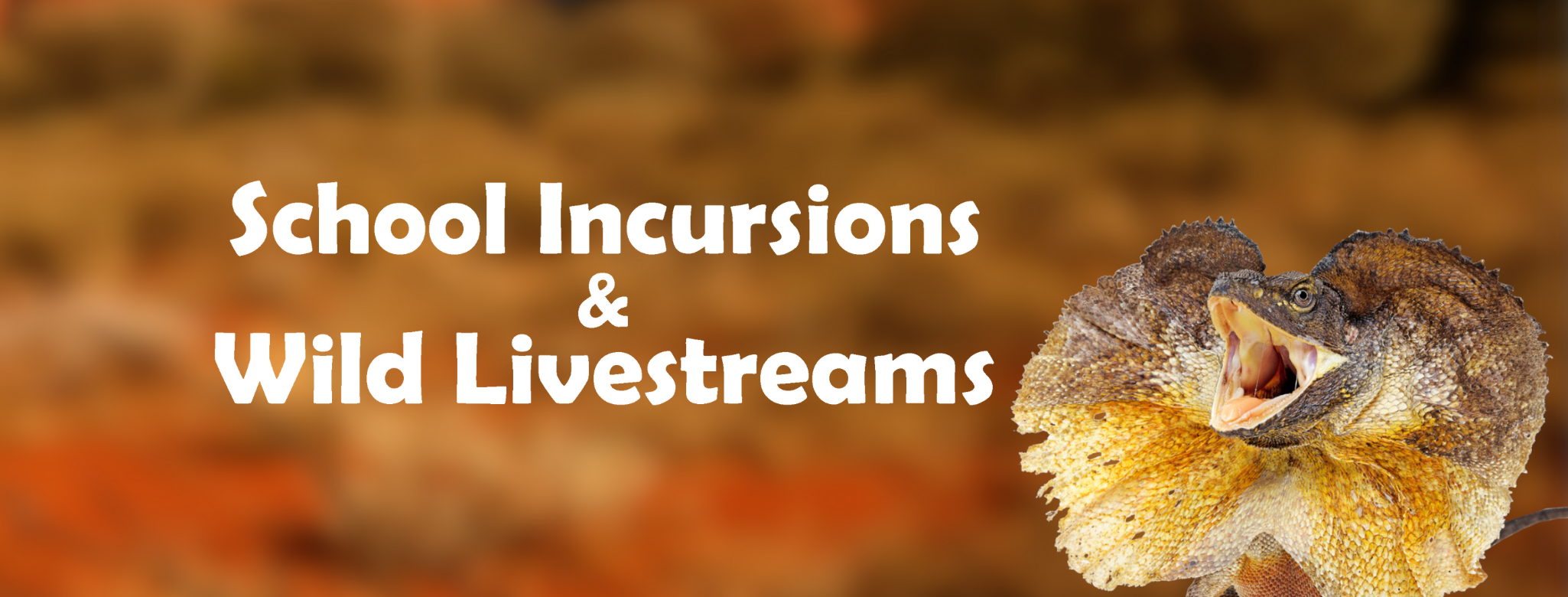 School Incursions in Melbourne | Wildlife and Science Incursions ...