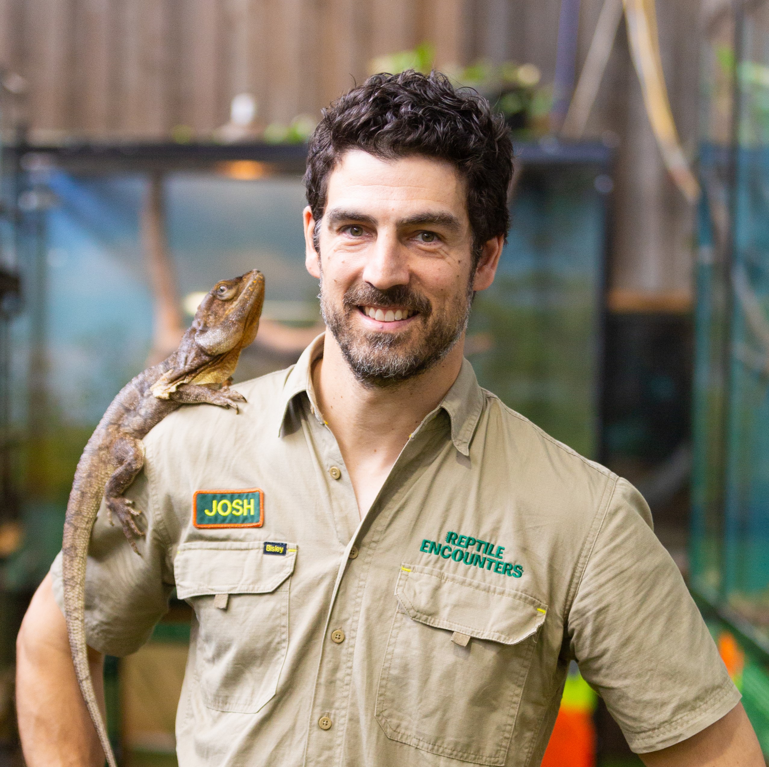 Reptile Shows Melbourne - Wildlife Up Close - Reptile Encounters